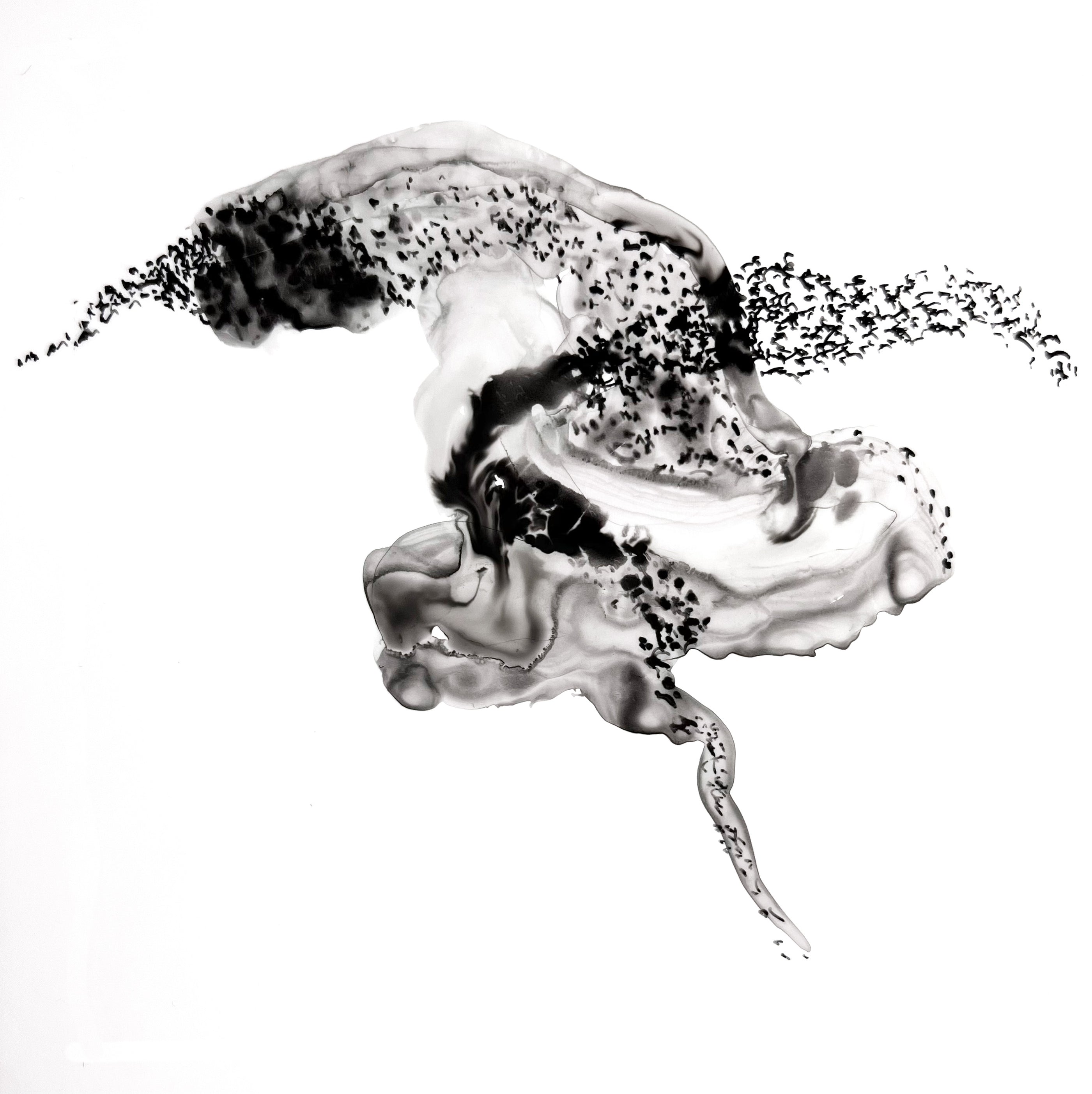 Constellations and Murmurations – KB Studio